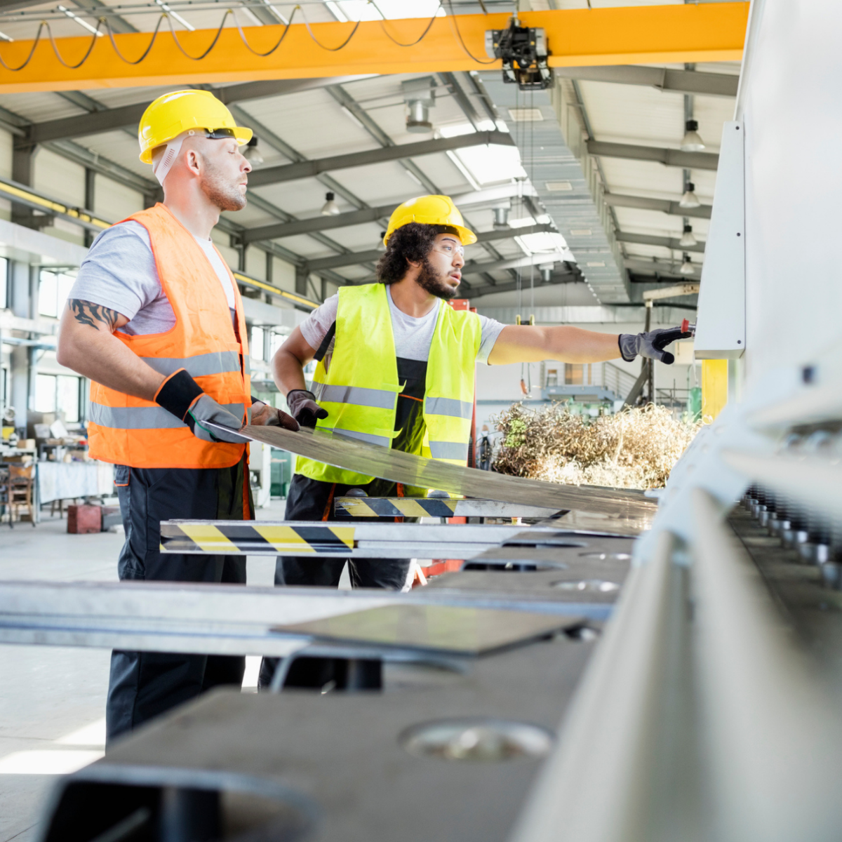 WHS Auditing - Productivity Matters